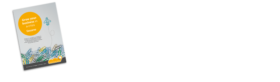 Sesame - Sesame Network Limited